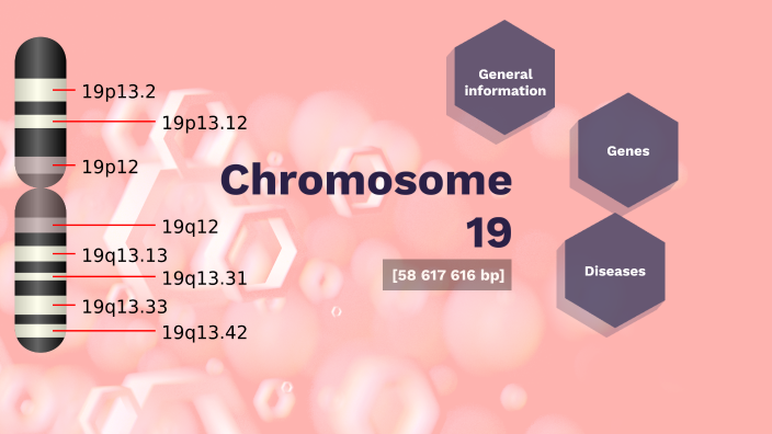 Chromosome 19 by Cristiano Rossi on Prezi
