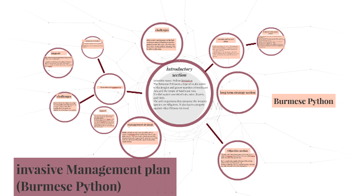 invasive Management plan (Burmese Python) by reyna dieguez on Prezi