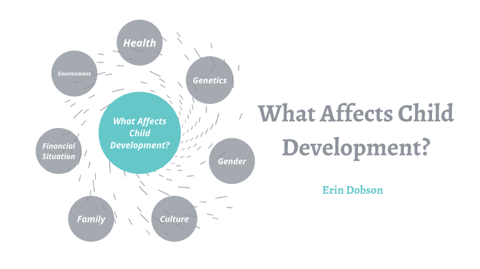 What Affects Child Development? by Erin Dobson on Prezi