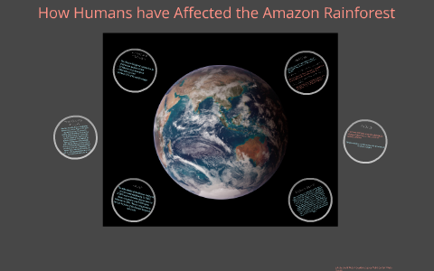 How Humans have Affected the Amazon Rainforest by Riley Schlichte on Prezi
