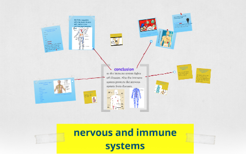immune and nervous system by kaila jones on Prezi