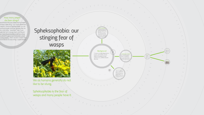 Spheksophobia: our stinging fear of wasps by ryan m droutman on Prezi