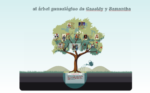 Cassidy and Sam's Family Tree by Sammy Yi