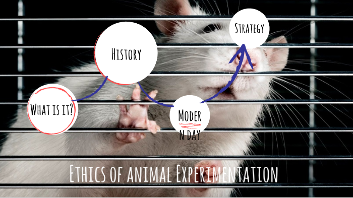 The Ethics of Animal Testing by First name Last name on Prezi