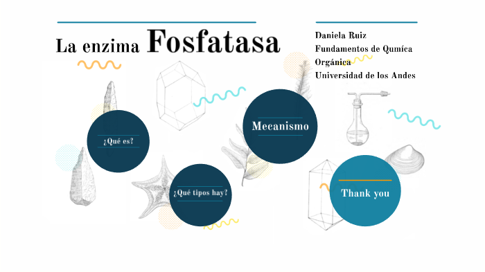 La fosfatasa by Daniela Ruiz on Prezi