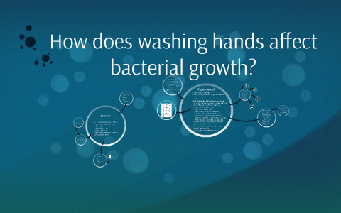 How does washing hands affect bacterial growth? by Hilary Herron on Prezi