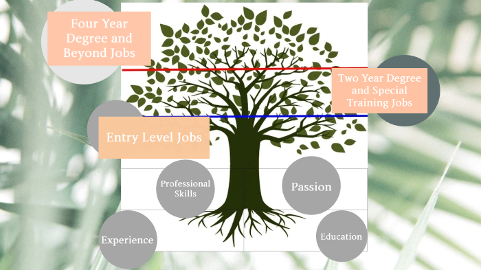Career Tree by Sandy Gao on Prezi