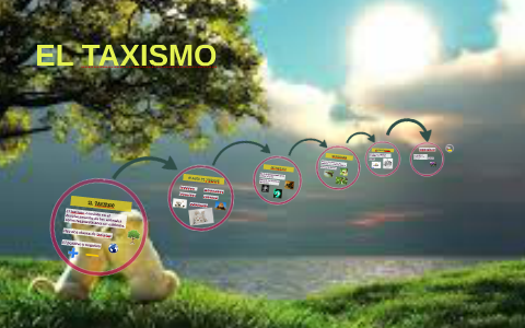 el taxismo by micaela alisson cando navas on Prezi