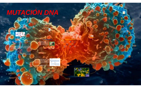 MUTACIÓN CELULAR by Emilse Rojas on Prezi