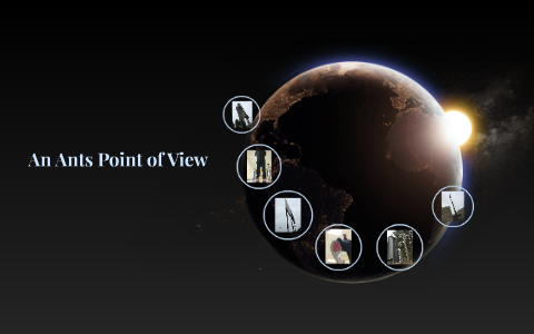 An Ants Point of View by Demarcus Carmichael on Prezi