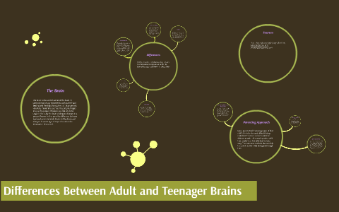Differences Between Adult and Teenager Brains by Dakota Taylor on Prezi