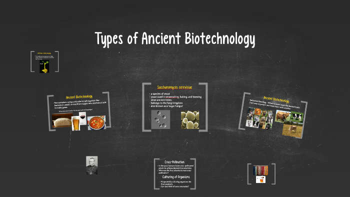 Types of Ancient Biotechnology by Caitlin Tanaka on Prezi