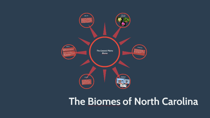 The Biomes of North Carolina by MaKenna Marti on Prezi