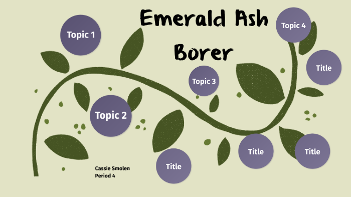 Invasive Species Project: Emerald Ash Borer by Cassie Smolen on Prezi