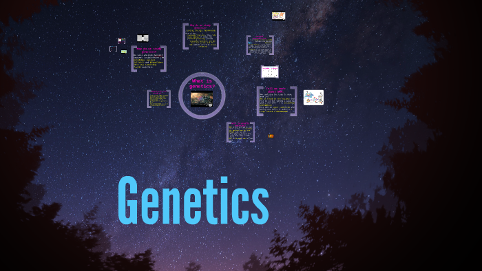 Genetics: 7th grade by patricia weaver on Prezi