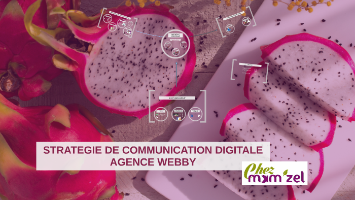 Strategie De Communication Digitale By Ludivine Riviere