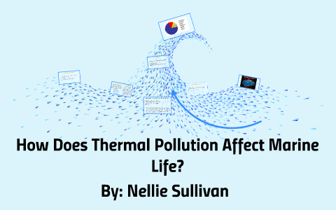 How Does Thermal Pollution Marine Life? by Nellie Sullivan on Prezi