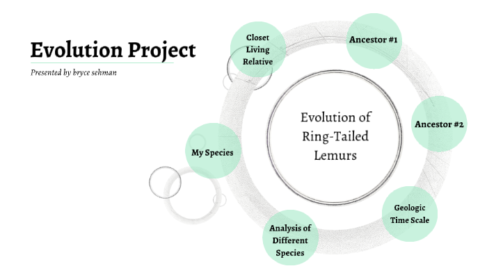 Evolution of Lemurs by Rylie Reents on Prezi