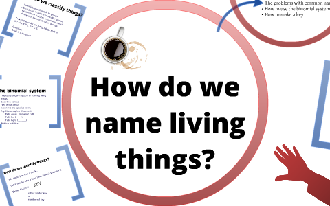 How do we name living things? by Stuart Ebberley on Prezi