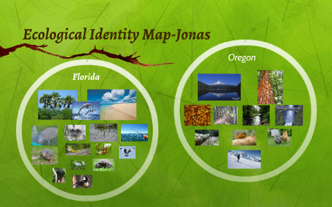 Ecological Identity Map by Jennifer Stickley on Prezi
