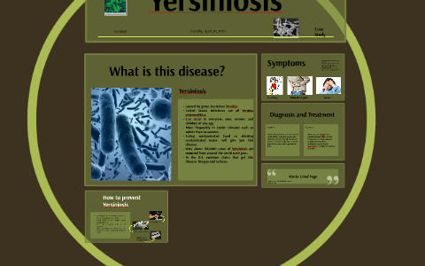 Yersiniosis by Michelle Tackie on Prezi