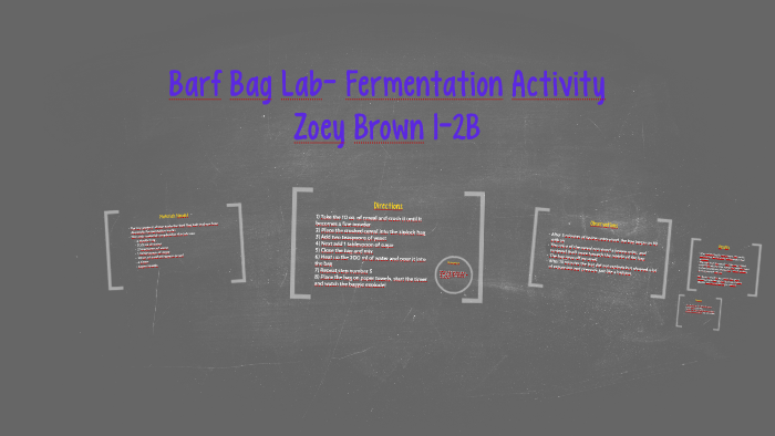 Barf Bag Lab- Fermentation Activity by Zoey Brown on Prezi