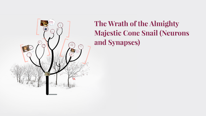 The Powers of the Majestic Cone Snail (Neurons and Synapses) by James ...