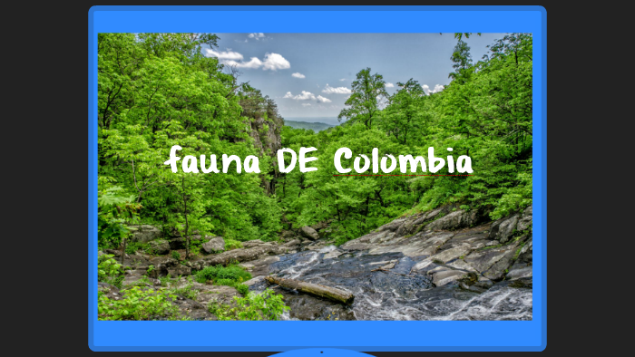 fauna de colombia by steven novoa on Prezi
