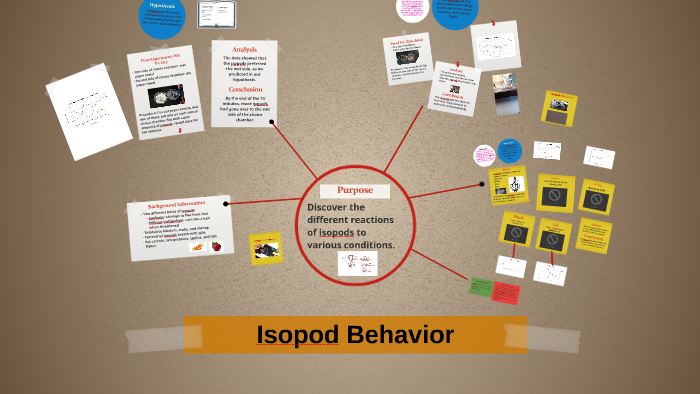 Isopod Behavior by Nina Herman on Prezi