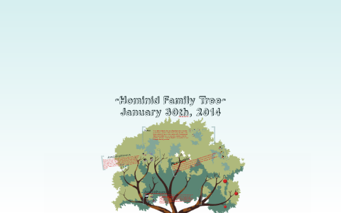 -Hominid Family Tree- by Stef Stevens on Prezi