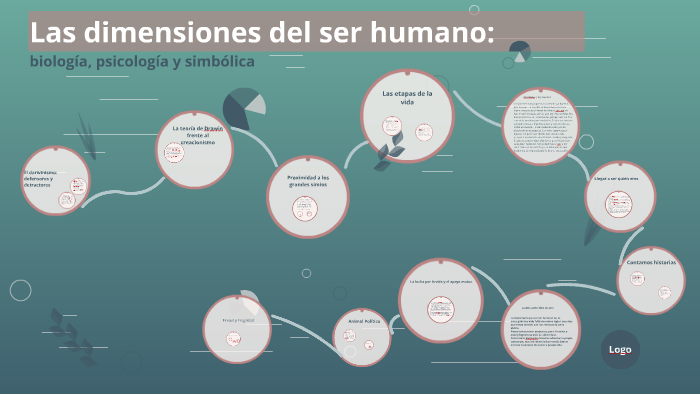 Las dimensiones del ser humano: by maria andrades rivera