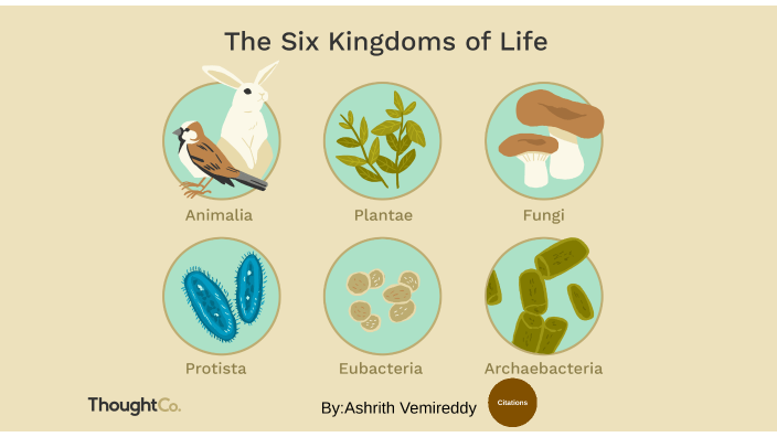 The Six Kingdoms by Ashrith Vemireddy on Prezi