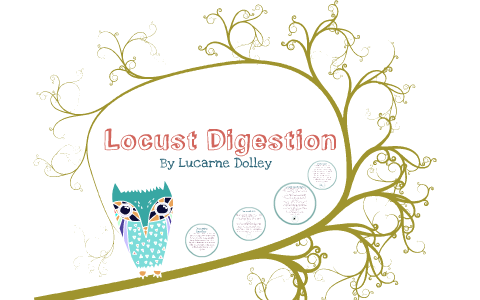 Locust Digestion by Lucarne Dolley on Prezi