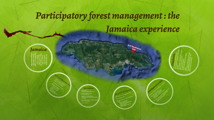 Participatory forest management : the Jamaica experience by Fred NEFF ...