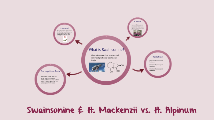 Swainsonine & H. Mackenzii vs. H. Alpinum by Jayde Ortiz on Prezi