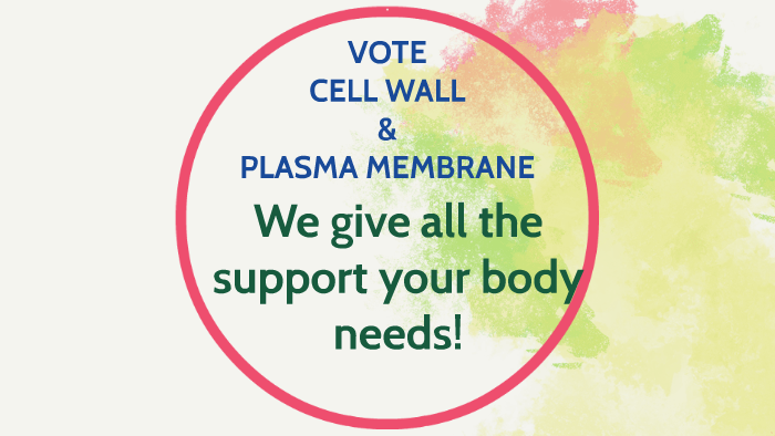 Cell Wall & Plasma Membrane by Lexi Brewington on Prezi