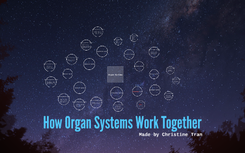 How Organ Systems Work Together by Christine Tran on Prezi