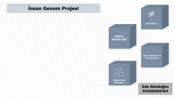 İnsan Genom Projesi by Eda Gündoğan on Prezi