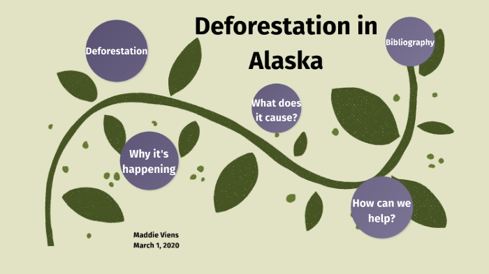 Deforestation in Alaska by Maddie Viens on Prezi