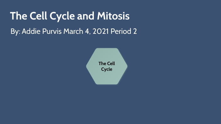 Cell Cycle by Addison Purvis on Prezi