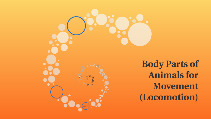 Body Parts of Animals for Movement (Locomotion) by Lendy Lou Labitad on ...