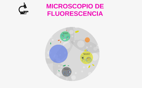 Microscopio De Luz Ultravioleta By Macarena Irene | atelier-yuwa.ciao.jp