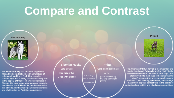 Compare and Contrast by Hamda Almazrouei on Prezi