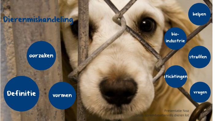 Dierenmishandeling by Noa Hoevenaars on Prezi