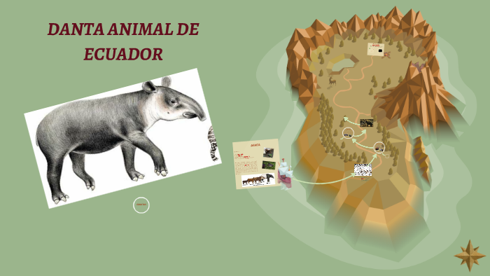 DANTA ANIMAL DE ECUADOR by Brigitte Carolina on Prezi