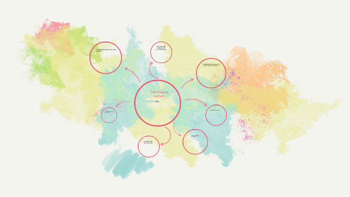 Skeletal System by Victoria Utley