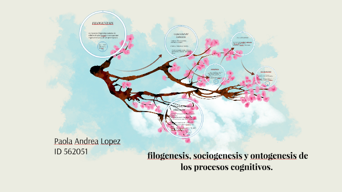 filogenesis, sociogenesis y ontogenesis de los procesos cog by paola ...