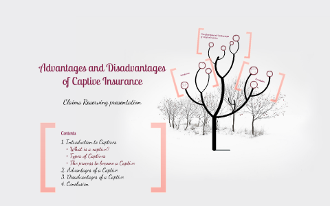 Advantages and Disadvantages of a Captive Insurance by Charlene Bonello ...