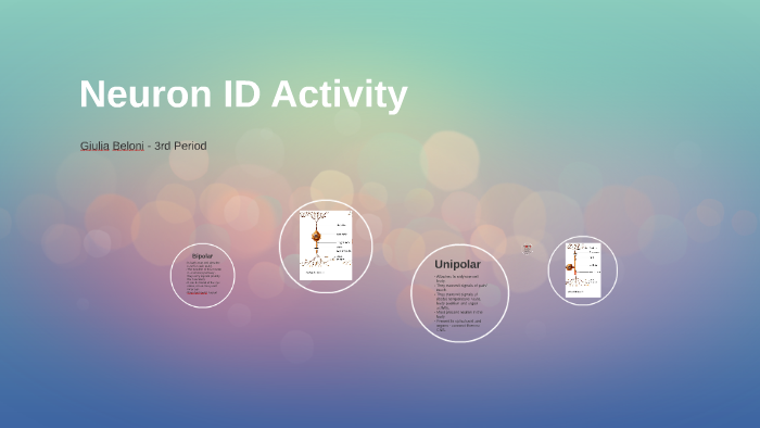 Neuron ID Activity by Giulia Santos on Prezi