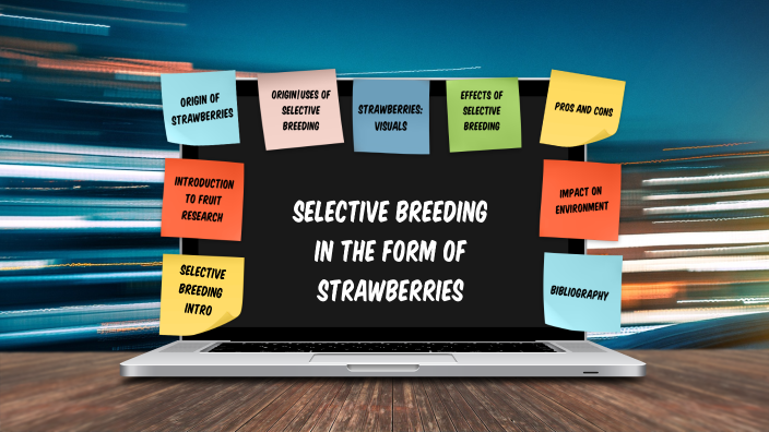 Selective Breeding Project by Veda G on Prezi